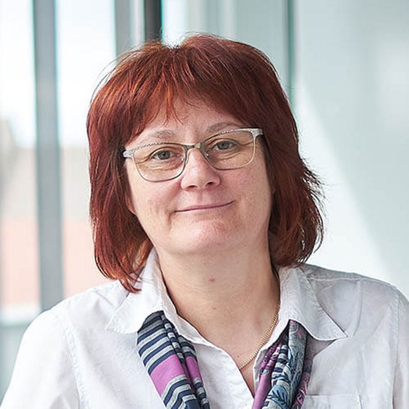 A solid team | SOFiSTiK AG